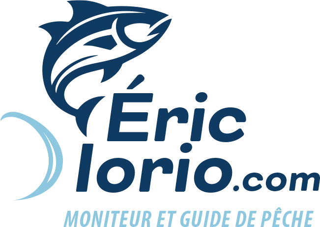 Prestations - Eric Iorio